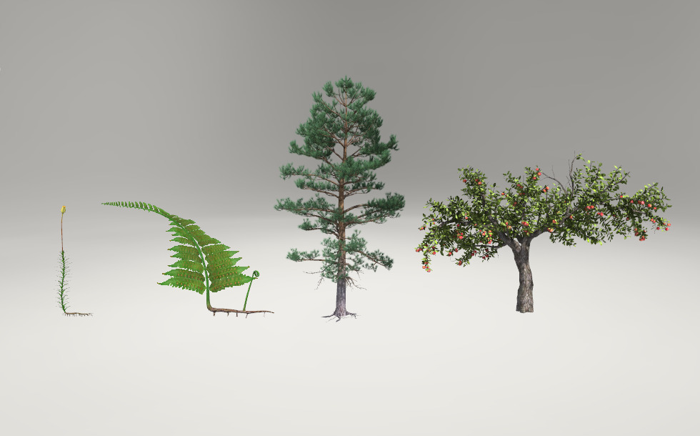The life cycle of plants - 3D scene - Mozaik Digital Education and Learning