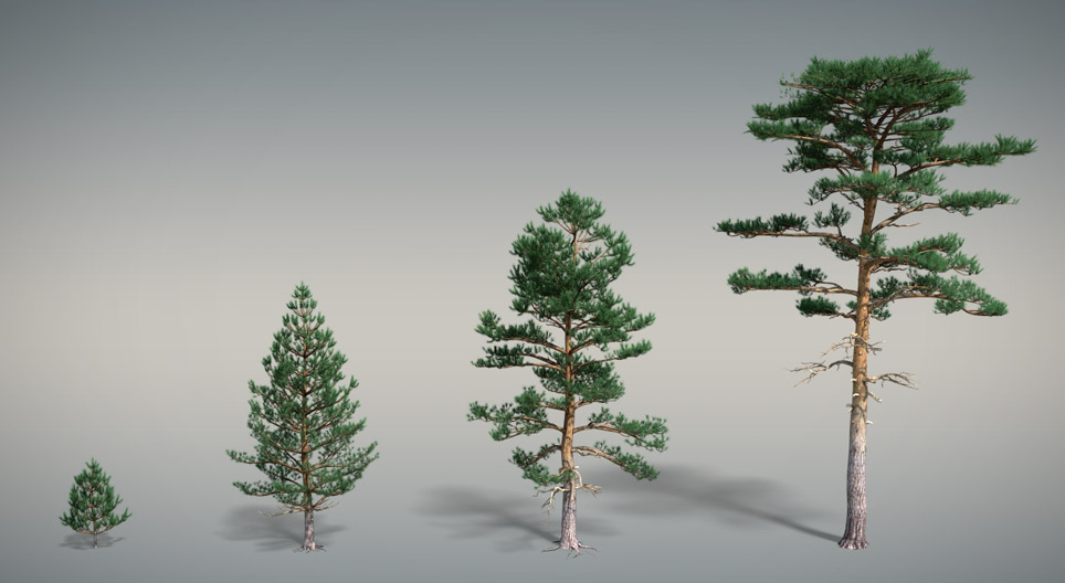 Deforestation - 3D scene - Mozaik Digital Education and Learning