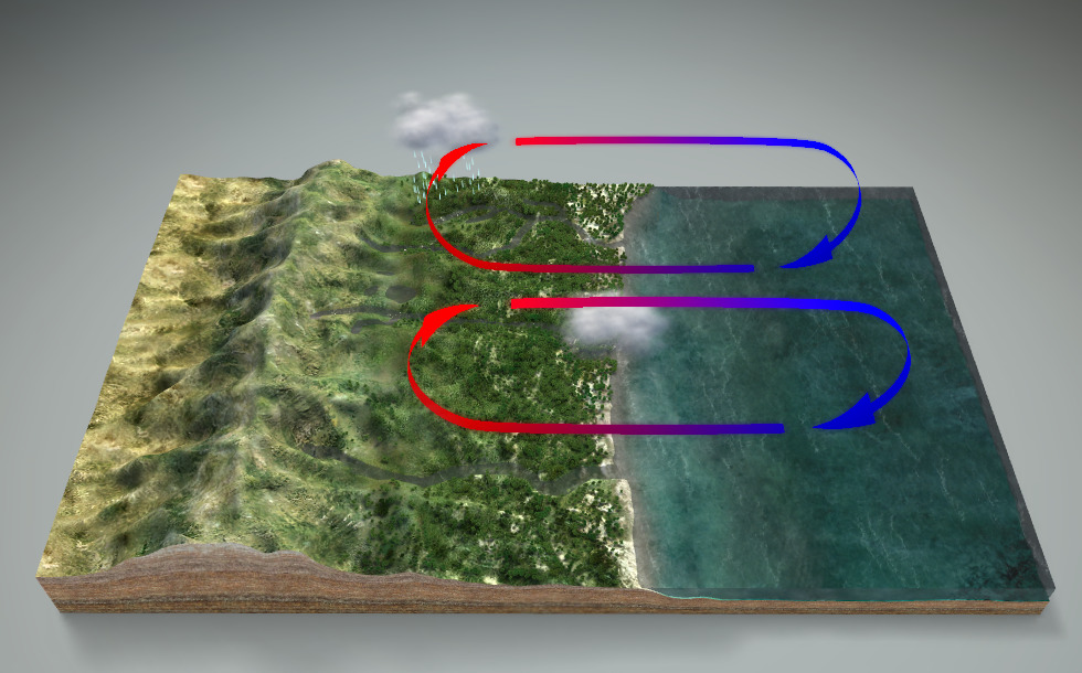 Monsoon wind system - 3D scene - Mozaik Digital Education and Learning