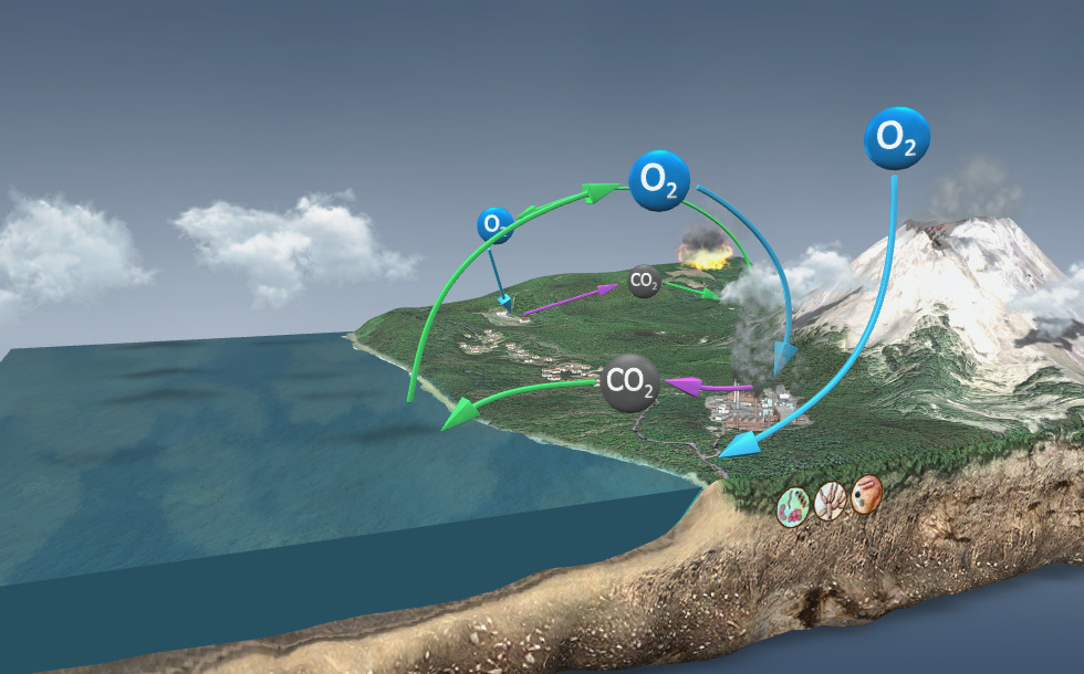 Oxygen cycle - 3D scene - Mozaik Digital Education and Learning