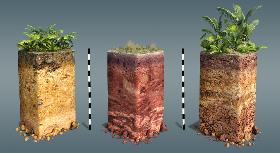 Types of soil (soil profiles) - 3D scene - Mozaik Digital Education and ...