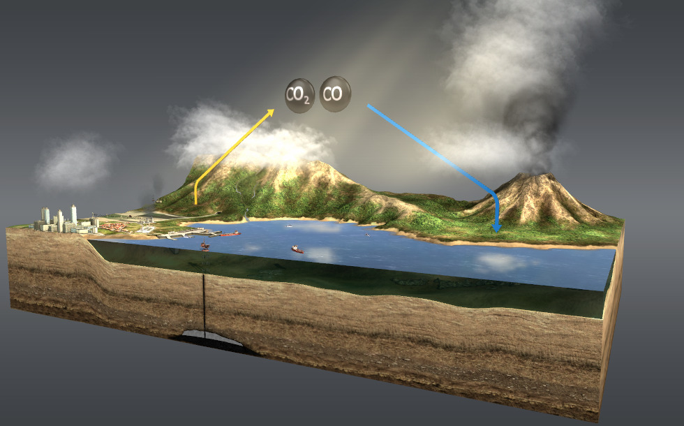 Carbon cycle - 3D scene - Mozaik Digital Education and Learning