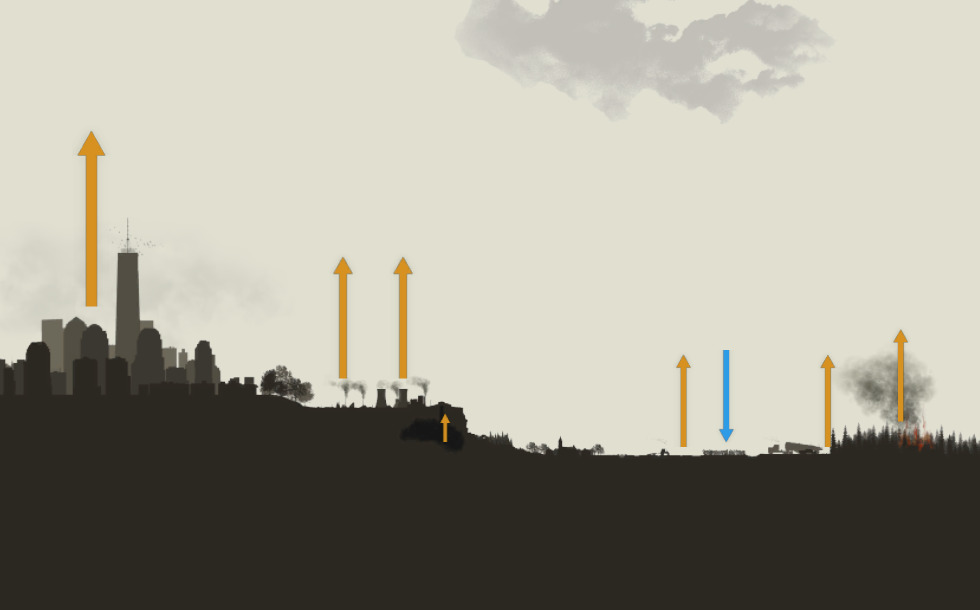 Carbon cycle - 3D scene - Mozaik Digital Education and Learning
