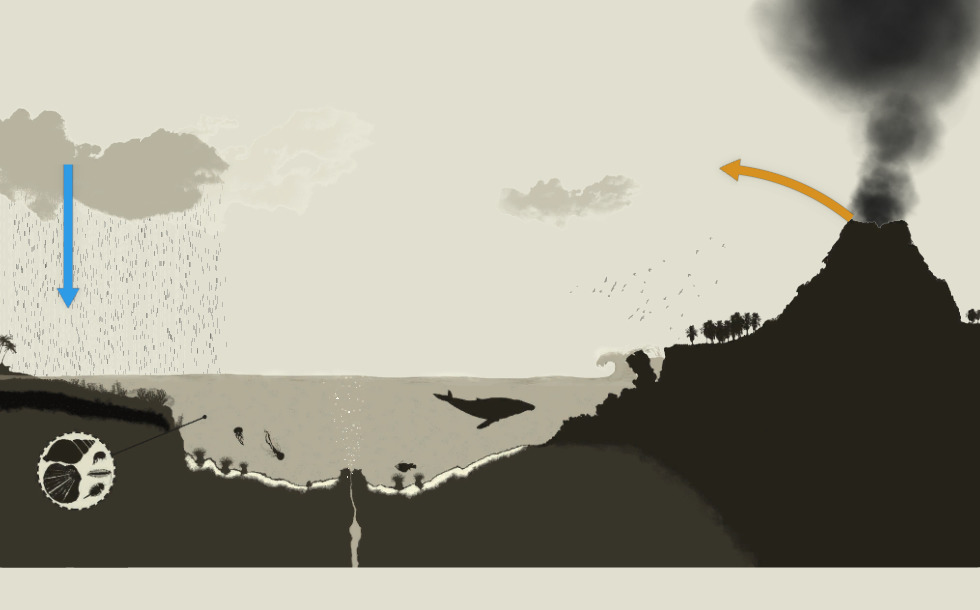 Carbon cycle - 3D scene - Mozaik Digital Education and Learning