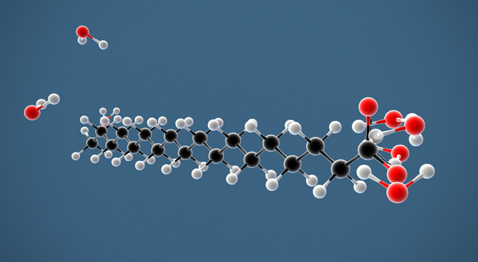 Soap Molecule Structure