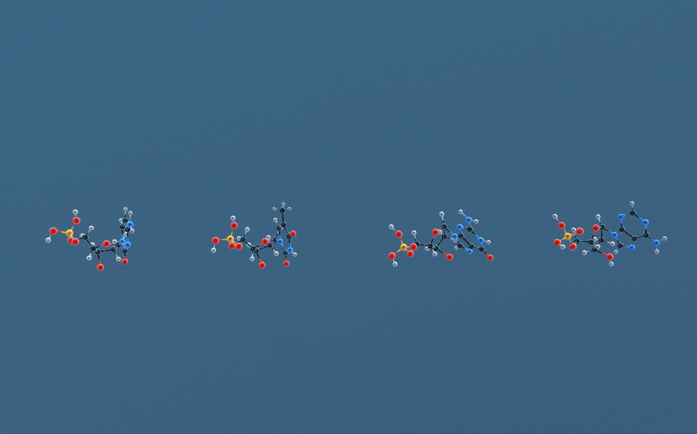 DNA - 3D scene - Mozaik Digital Education and Learning