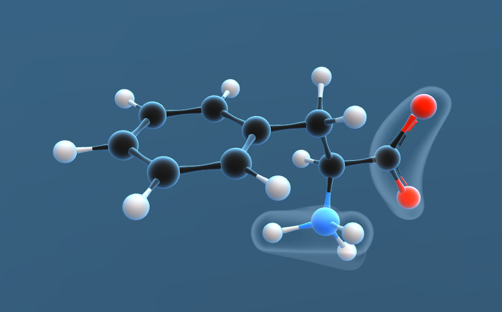 Phenylalanine - 3D scene - Mozaik Digital Education and Learning