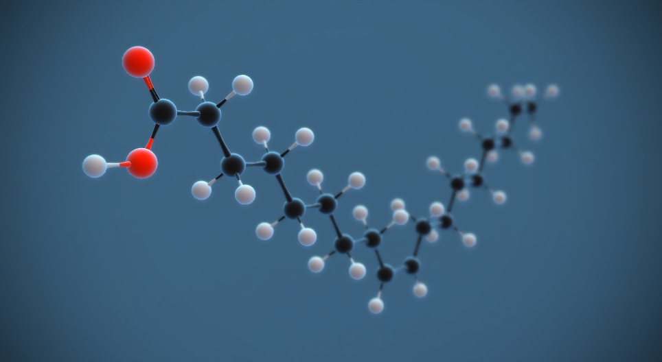 Stearic acid (octadecanoic acid) (C₁₇H₃₅COOH) - 3D scene - Mozaik ...