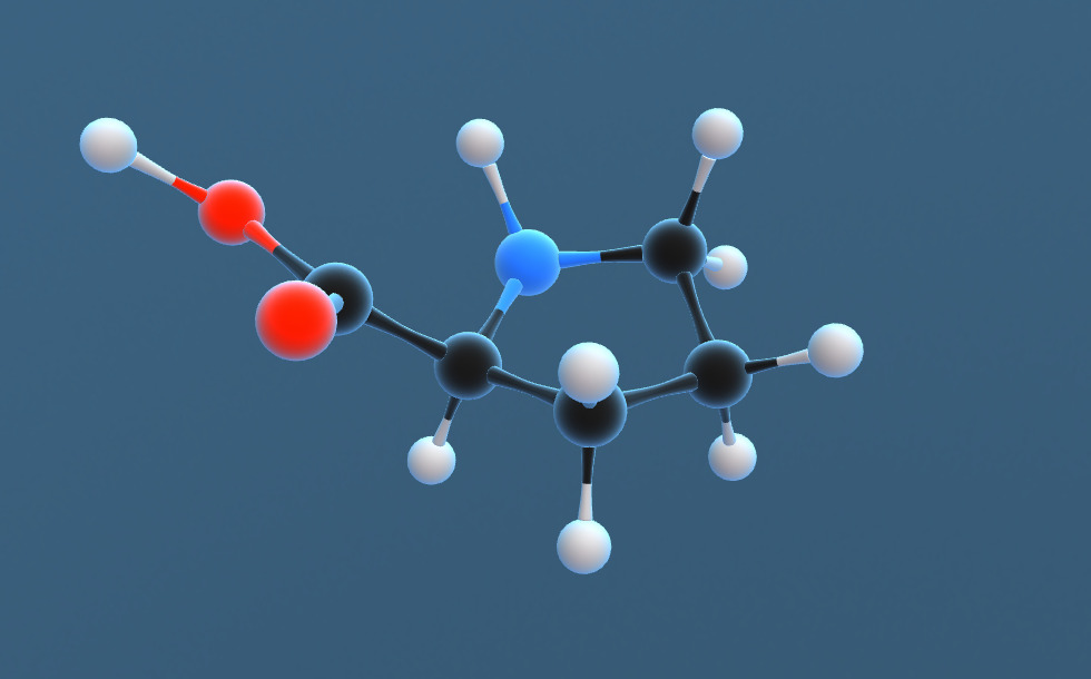 Proline - 3D scene - Mozaik Digital Education and Learning