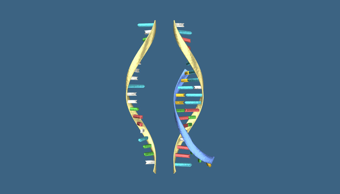 RNA - 3D scene - Mozaik Digital Education and Learning