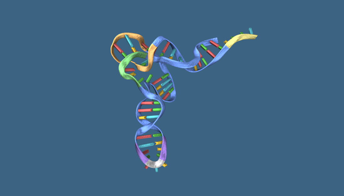 RNA - 3D scene - Mozaik Digital Education and Learning