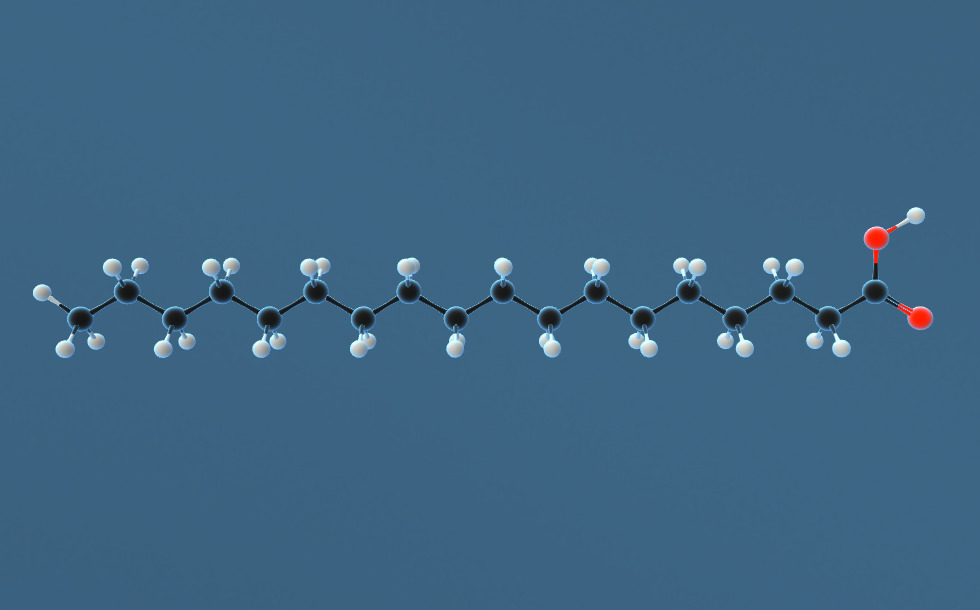 Stearic acid (octadecanoic acid) (C₁₇H₃₅COOH) - 3D scene - Mozaik ...