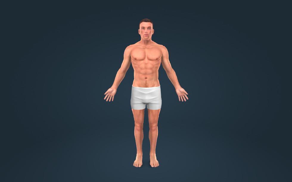 Body parts - 3D scene - Mozaik Digital Education and Learning