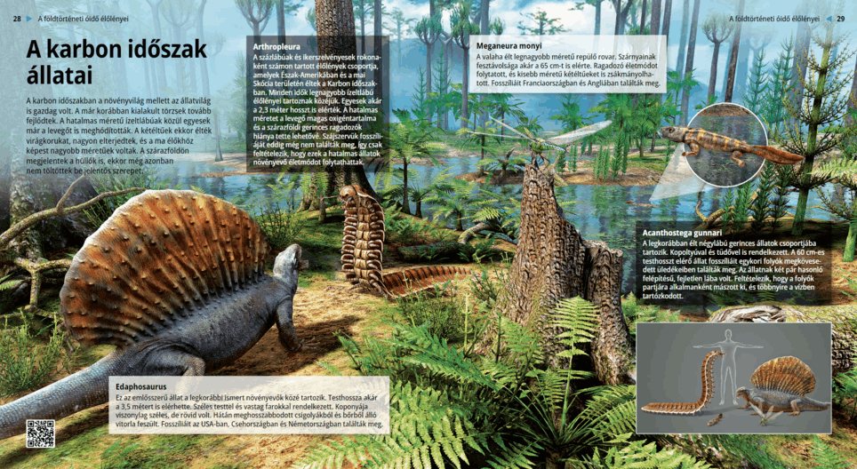Carboniferous Fauna - Digital lesson - Mozaik Digital Education and ...