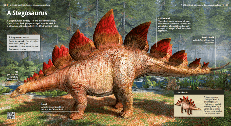 Stegosaurus - Digital lessons - Mozaik Digital Education and Learning