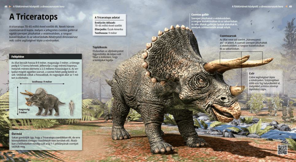 Triceratops - Digital lesson - Mozaik Digital Education and Learning