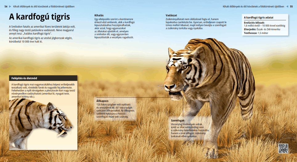 Sabre-toothed Cat - Digital lesson - Mozaik Digital Education and Learning