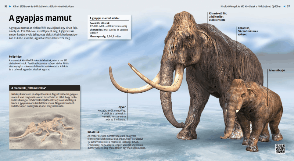 Woolly Mammoth - Digital lessons - Mozaik Digital Education and Learning