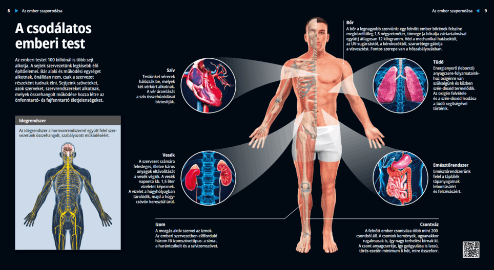 The Amazing Human Body - Digital lesson - Mozaik Digital Education and ...