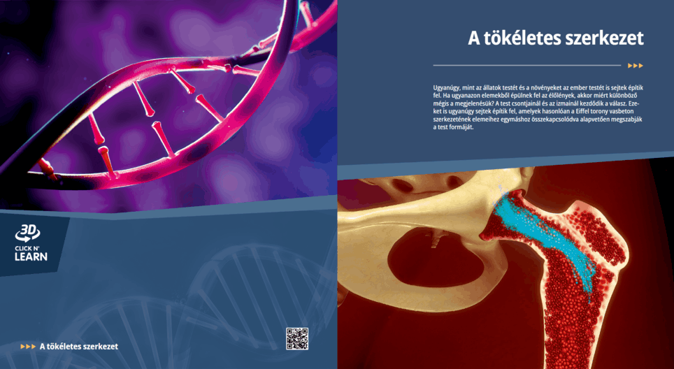 The Perfect Mechanism - Digital lessons - Mozaik Digital Education and Learning