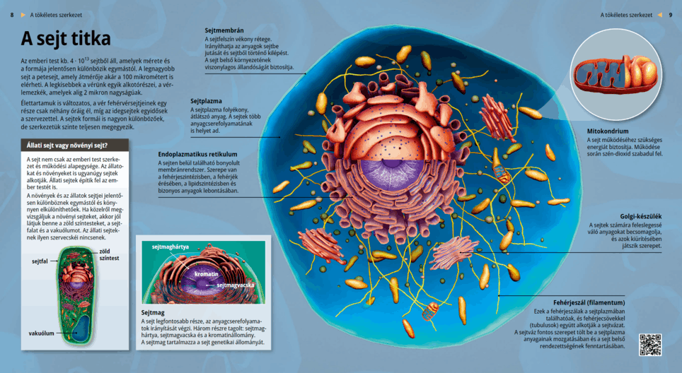 The Secret of Cells - Digital lessons - Mozaik Digital Education and ...