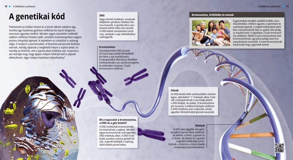 The Genetic Code - Digital lessons - Mozaik Digital Education and Learning