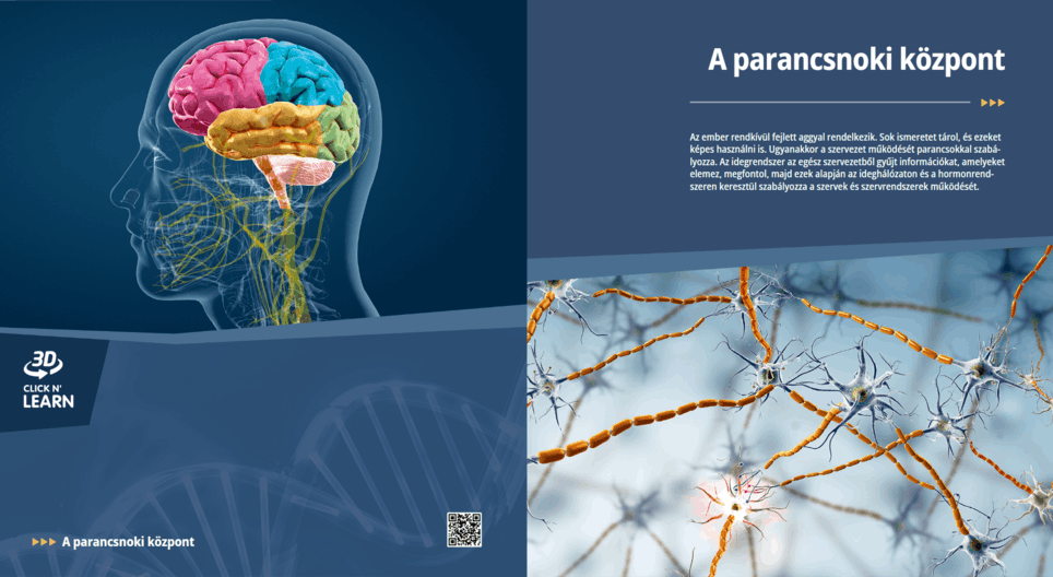 The Control Centre - Digital lessons - Mozaik Digital Education and Learning