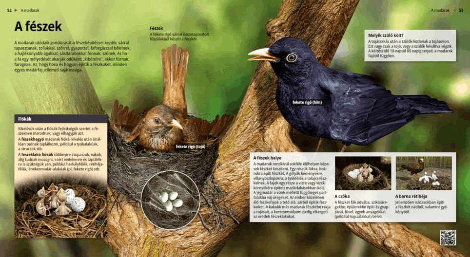 The Nest: Home Sweet Home - Digital lessons - Mozaik Digital Education ...