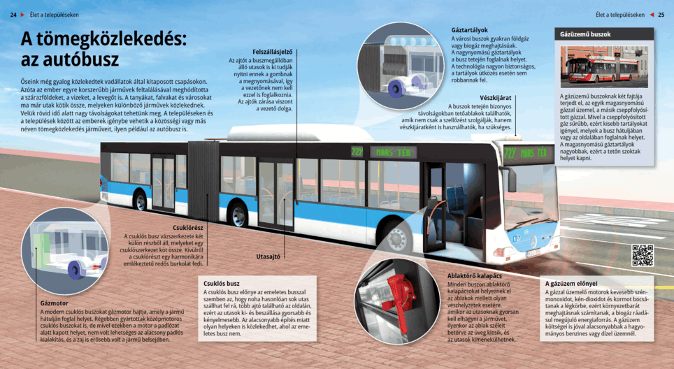 Public Transport: Buses - Digital lessons - Mozaik Digital Education and Learning