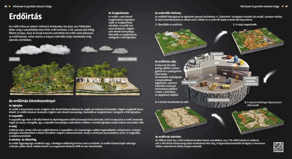 Deforestation - Digital lessons - Mozaik Digital Education and Learning