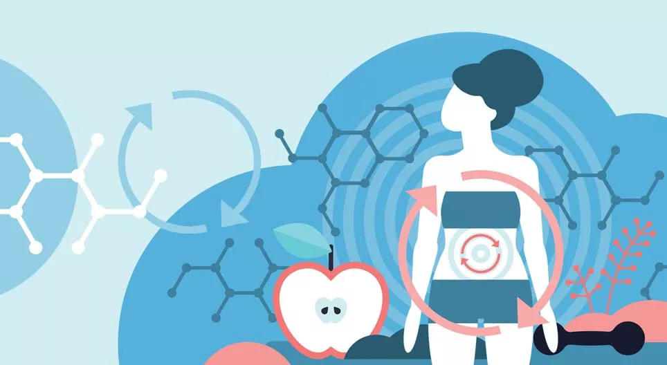 What is metabolism? - Digital lessons - Mozaik Digital Education and ...