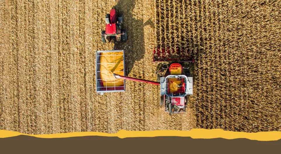 Common field crops - Digital lessons - Mozaik Digital Education and ...