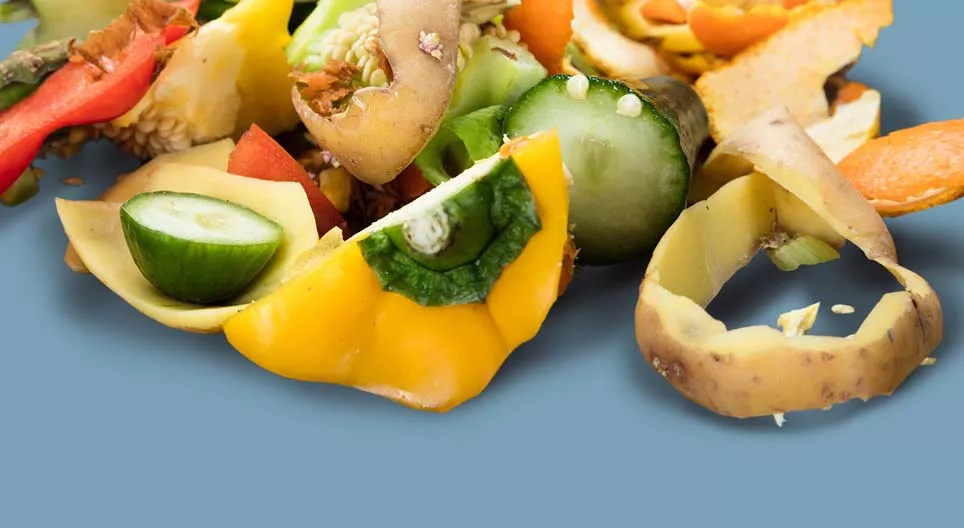 Decrease the amount of waste - Digital lesson - Mozaik Digital Education and Learning