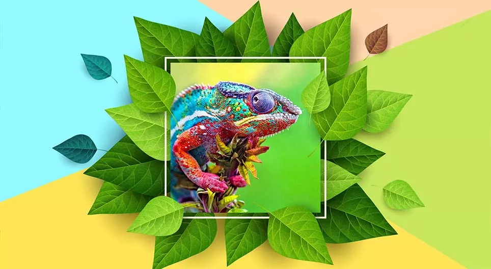 Colour changers in nature - Digital lessons - Mozaik Digital Education ...