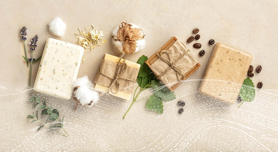 Soap - Digital lessons - Mozaik Digital Education and Learning