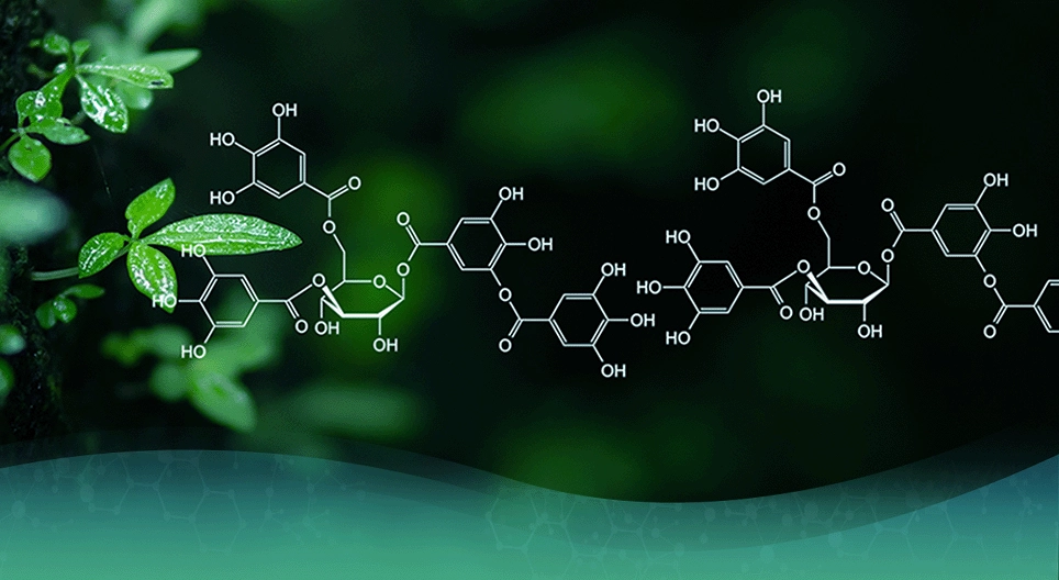 The development of organic chemistry - Digital lessons - Mozaik Digital ...