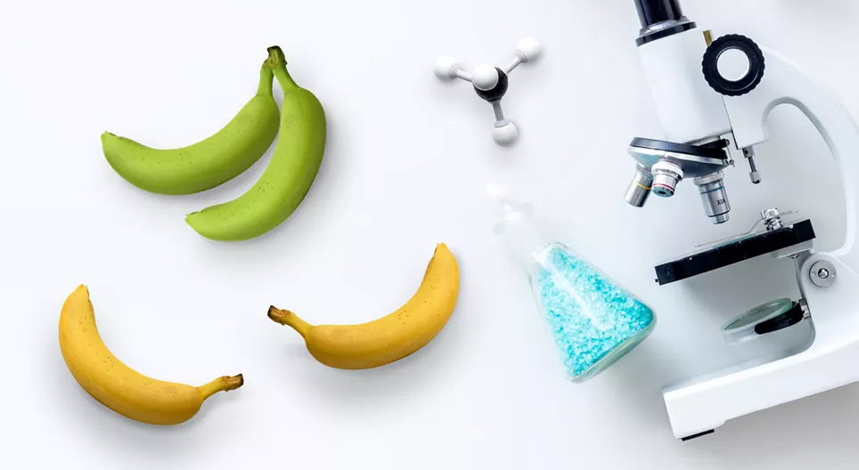 Ethene - Digital lessons - Mozaik Digital Education and Learning