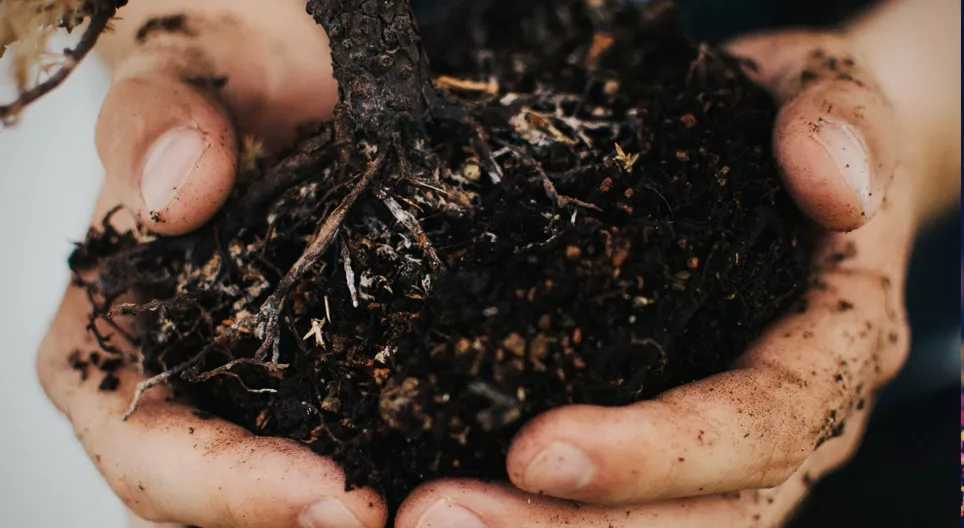 How does soil form? - Digital lesson - Mozaik Digital Education and ...