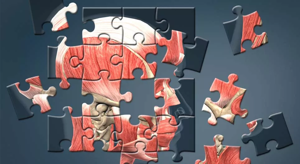 How is the human body built up? - Digital lesson - Mozaik Digital ...