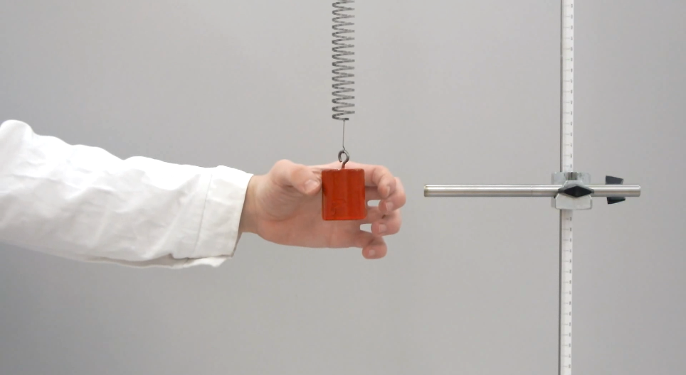 The motion of an object on a spring (basic) - Digital lessons - Mozaik ...