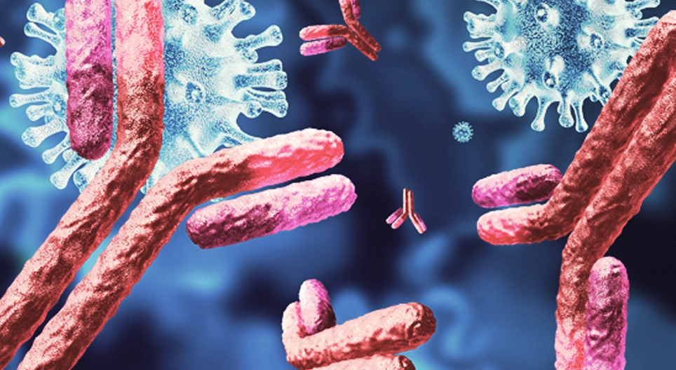 Az immunrendszer működése - Digital lessons - Mozaik Digital Education and Learning