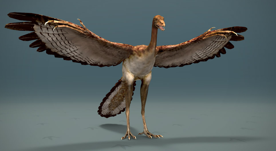 Archaeopteryx - 3D scene - Mozaik Digital Education and Learning