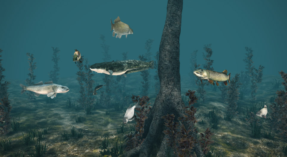 Niche - 3D scene - Mozaik Digital Education and Learning