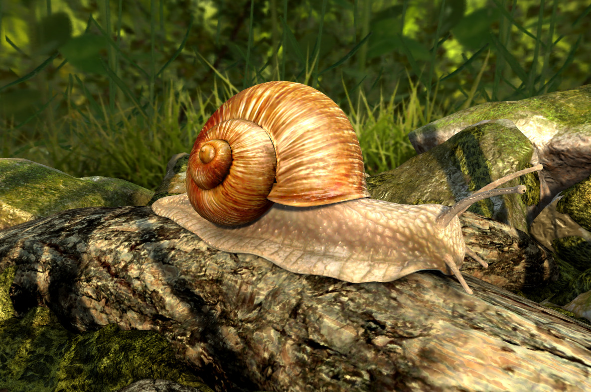 Roman snail - 3D scene - Mozaik Digital Education and Learning