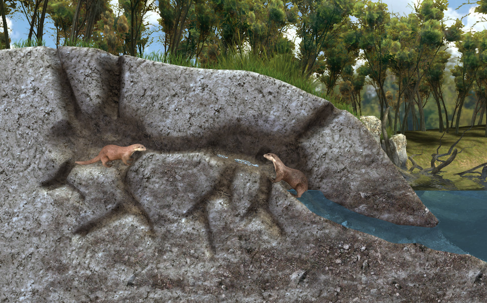 European otter - 3D scene - Mozaik Digital Education and Learning