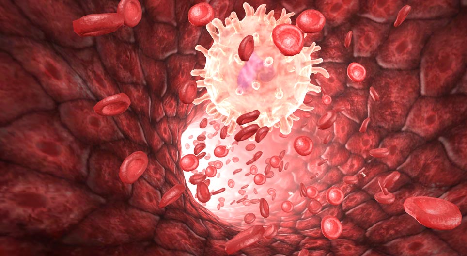 The human blood - 3D scene - Mozaik Digital Education and Learning