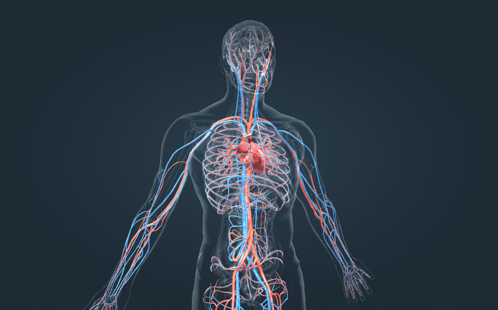 Heart attack - 3D scene - Mozaik Digital Education and Learning