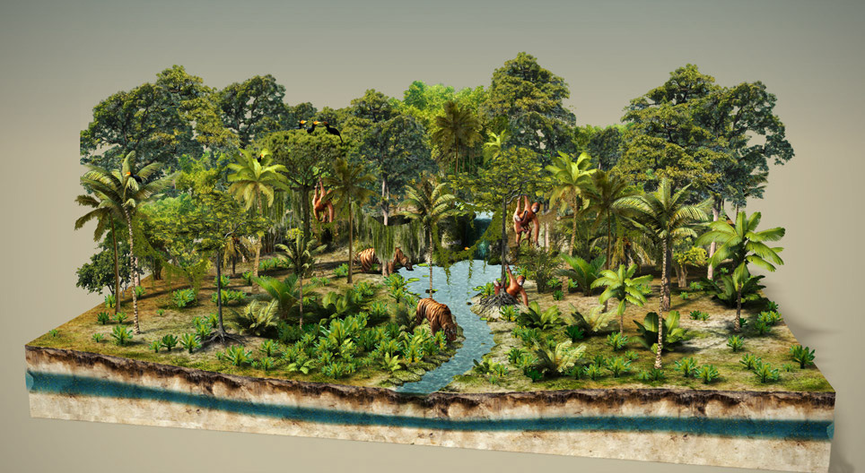 Deforestation - 3D scene - Mozaik Digital Education and Learning