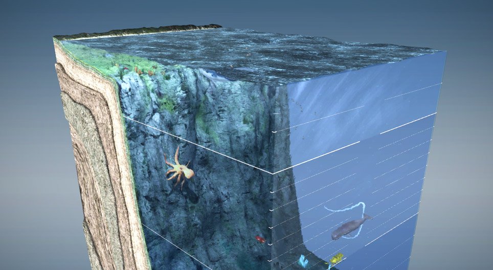 Layers of the ocean - 3D scene - Mozaik Digital Education and Learning