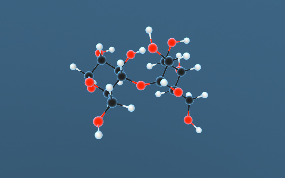 Maltose (malt sugar) (C₁₂H₂₂O₁₁) - 3D scene - Mozaik Digital Education ...